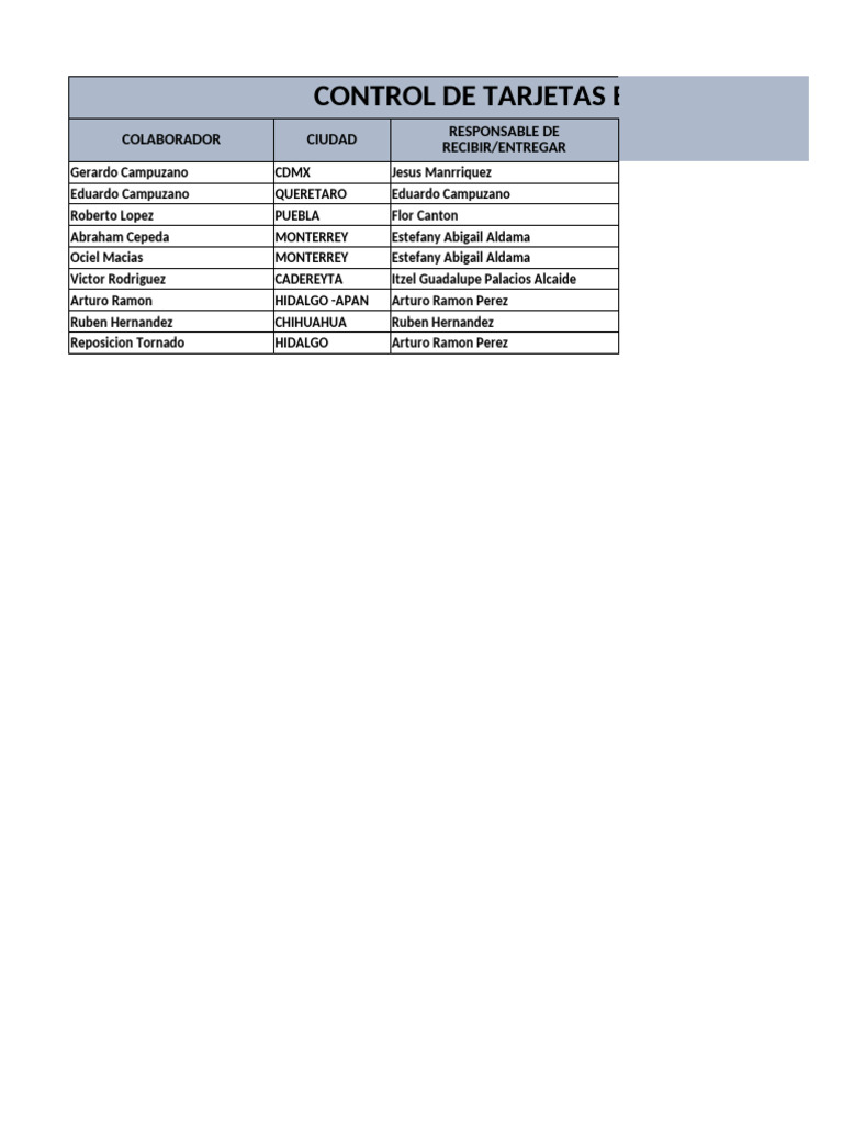 Control de Tarjetas Efectivale | PDF