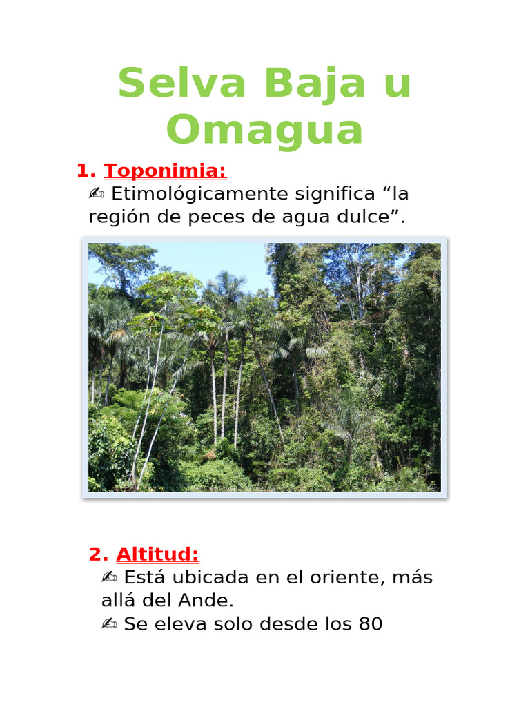 Region Selva Baja U Omagua | PDF