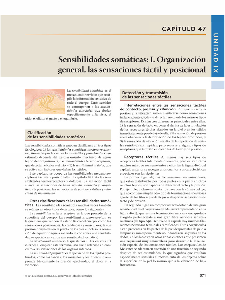 Guyton y Hall CAP 47 Y 48 SENSIBILIDAD | PDF