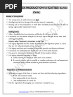 Essential Steps in Land Preparation | PDF | Tillage | Soil