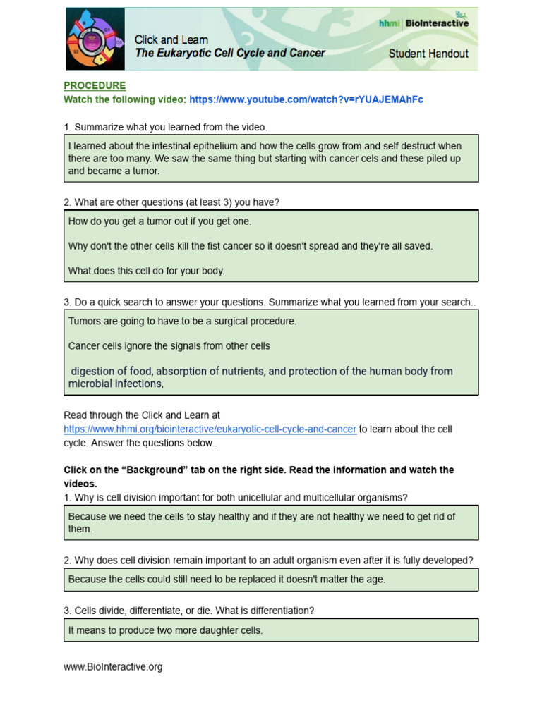 Bio P - Eukaryotic Cell Cycle and Cancer | PDF | Cell Cycle | Oncogene