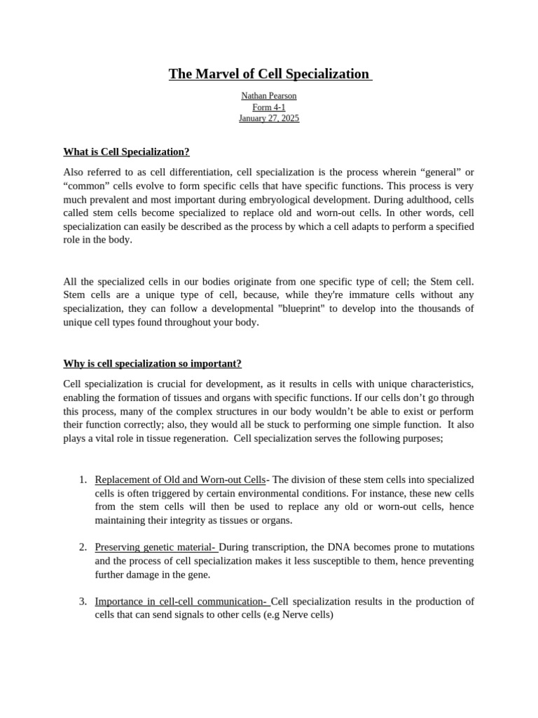 Cell Specialization Biology Assignment | PDF | Cell (Biology) | Neuron