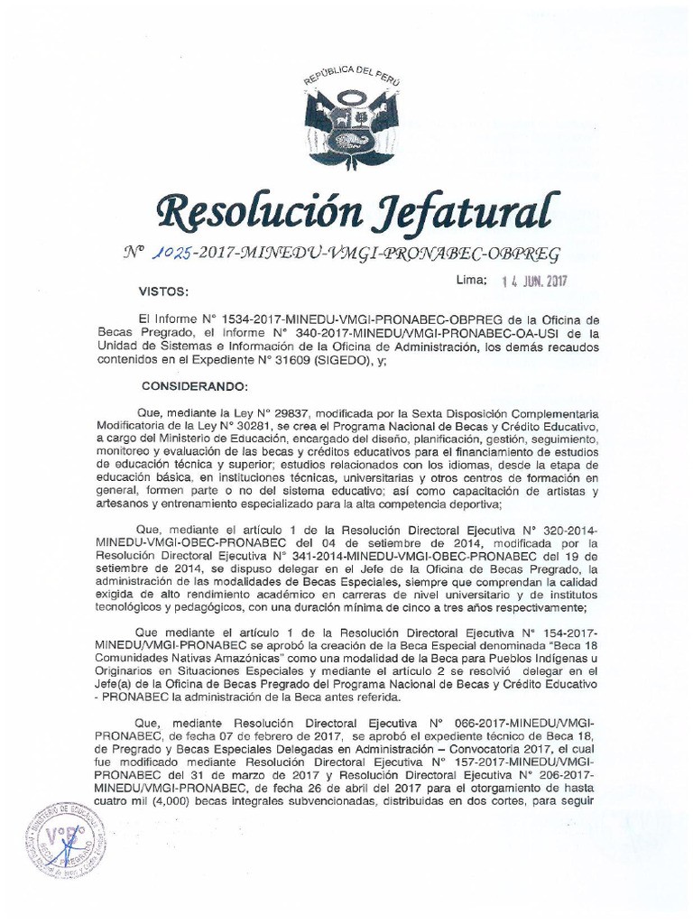 rj1025 2017 Preg Opt | PDF