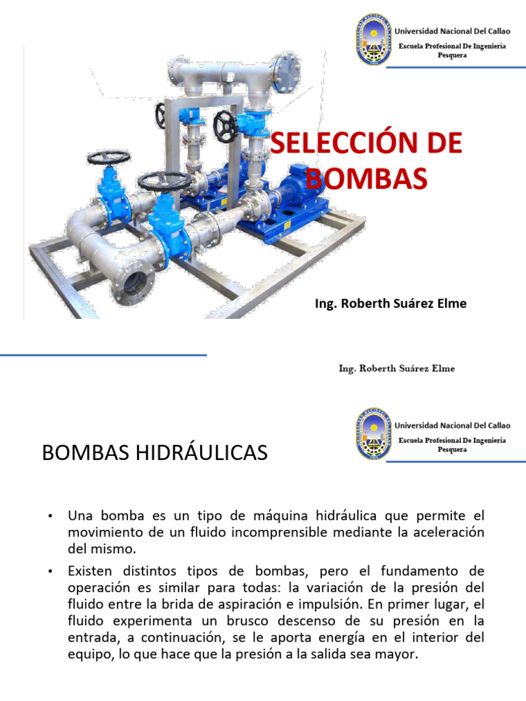 Seleccion de Bombas Hidraulicas | PDF | Bomba | Ingeniería