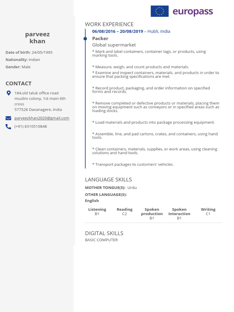 European CV | PDF
