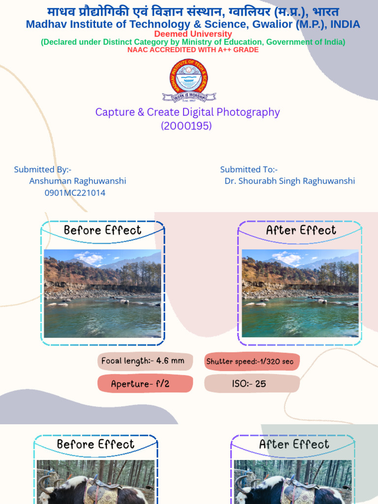 ANshuman Raghuwanshi NEC | PDF