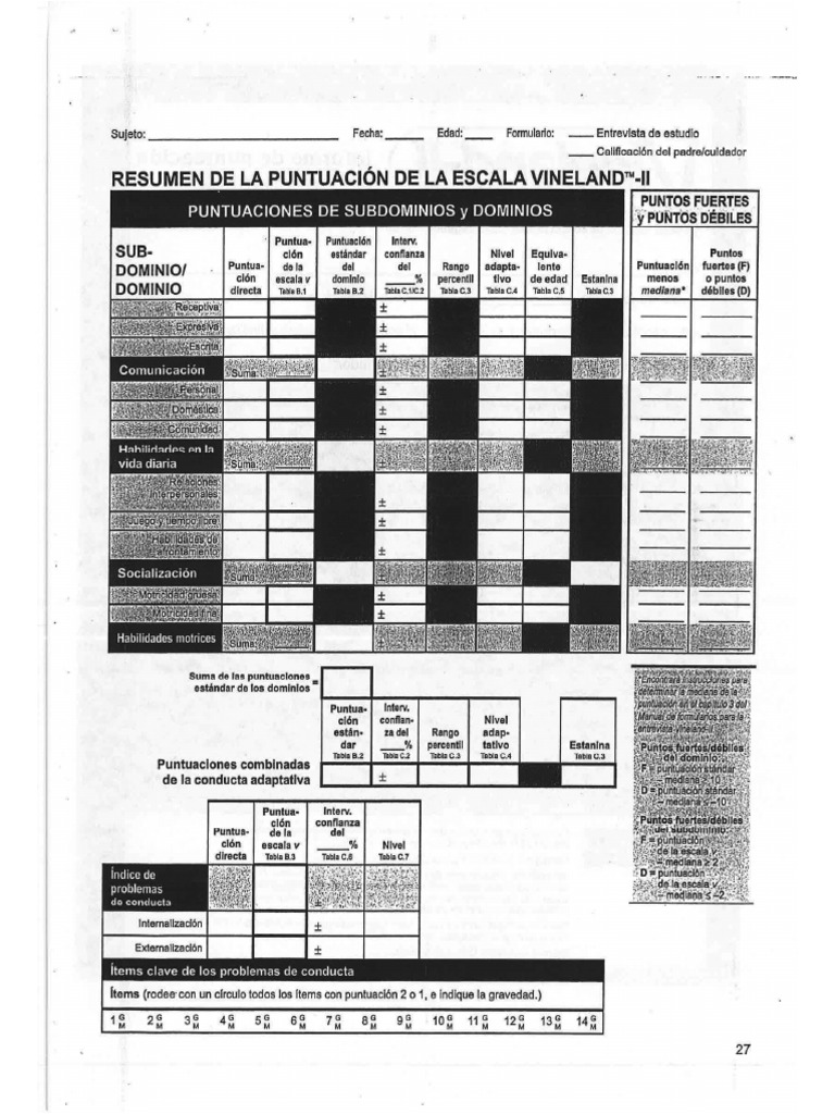 Vineland PROTOCOLO 2 | PDF