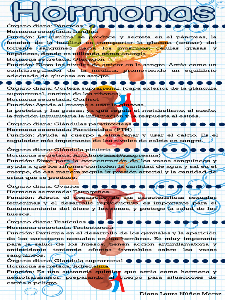 Hormonas y sus órganos diana | PDF