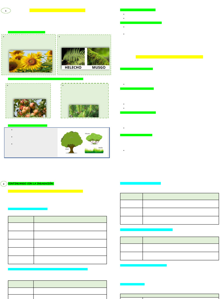 1ºmaterial Estudiantes - Sesion 2 | PDF | Plantas | Semilla