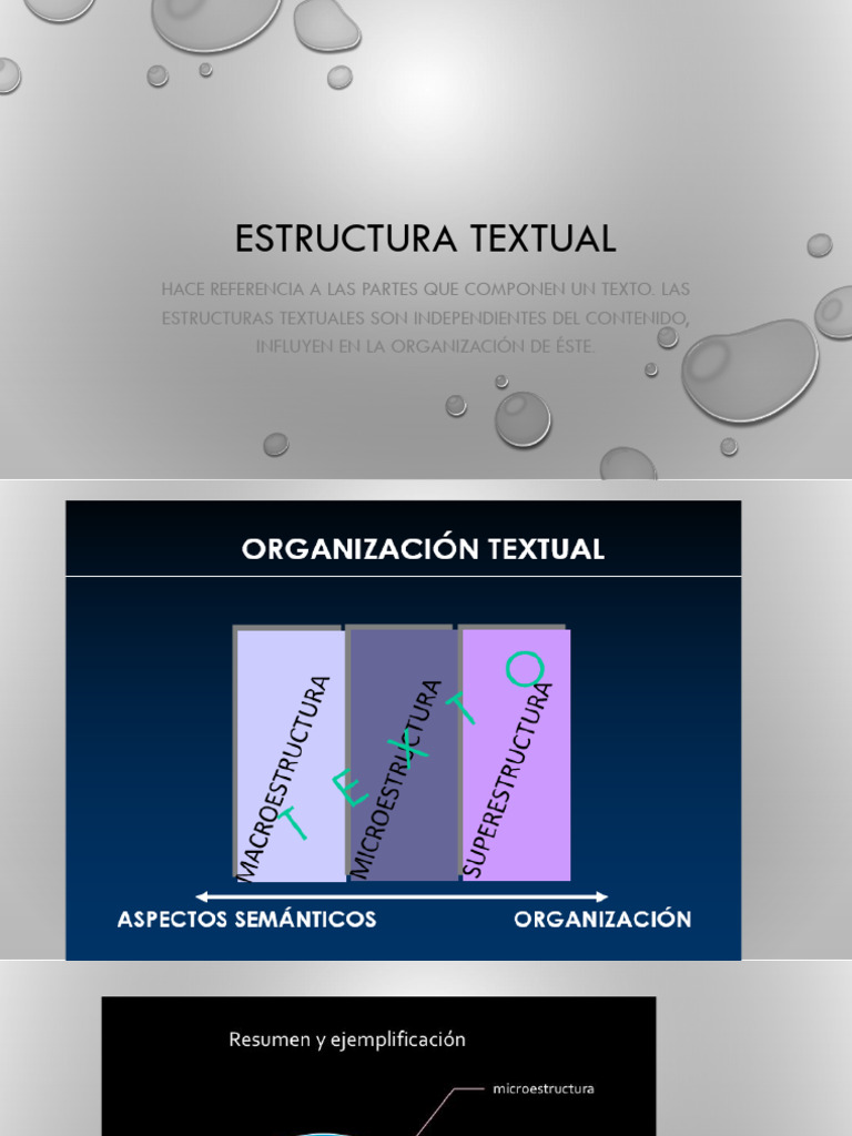 Estructura Textual | PDF