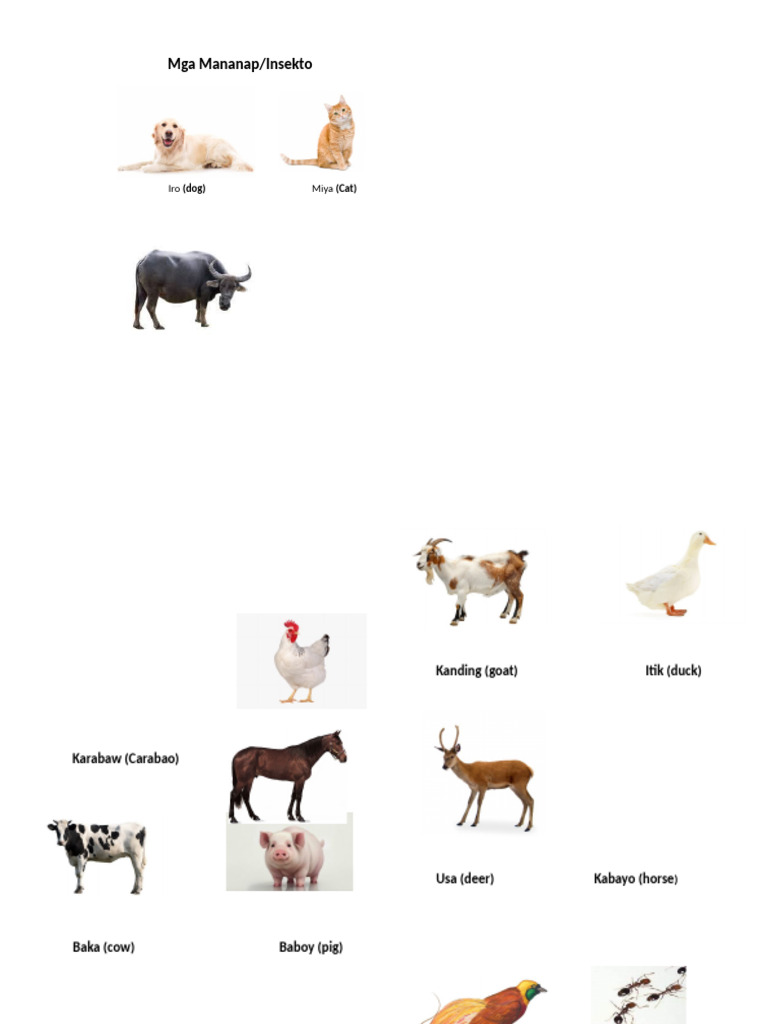 Mga-mananap-sanan-prutas | PDF