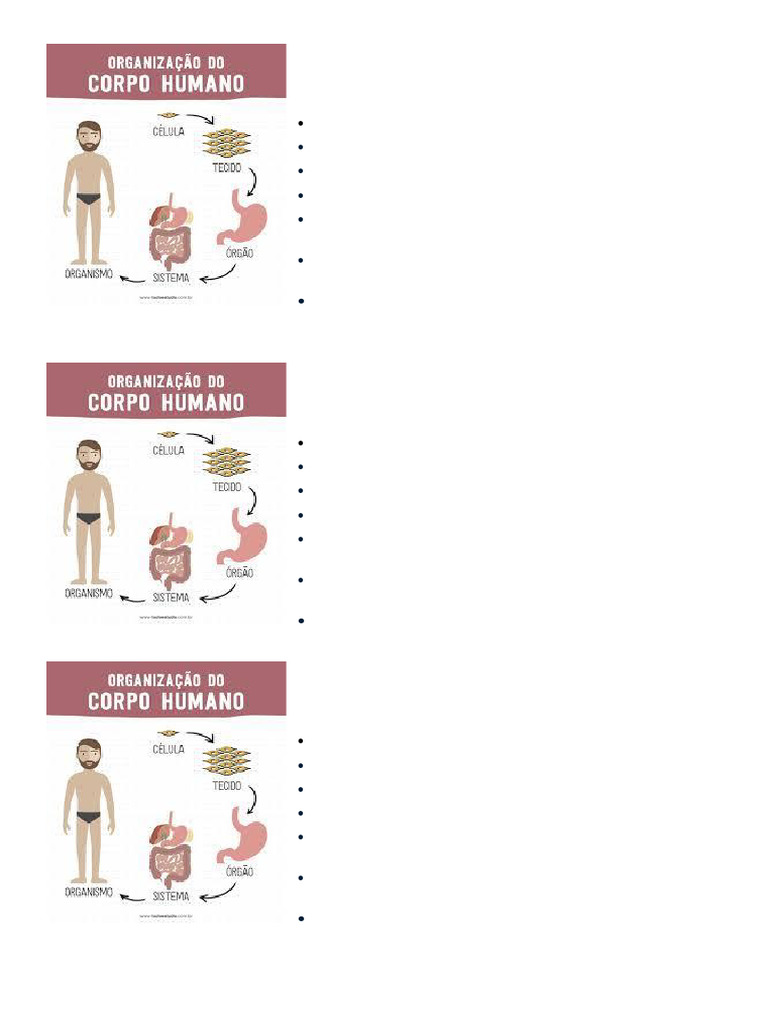 Níveis de Organização do Corpo Humano | PDF | Corpo humano | Organismos