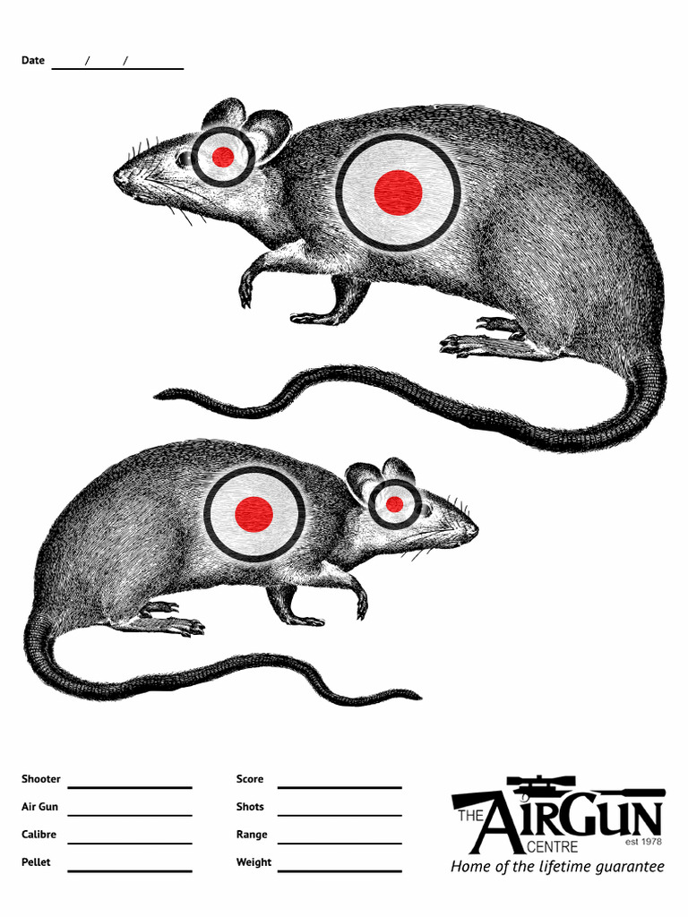 air rifle target rats | PDF