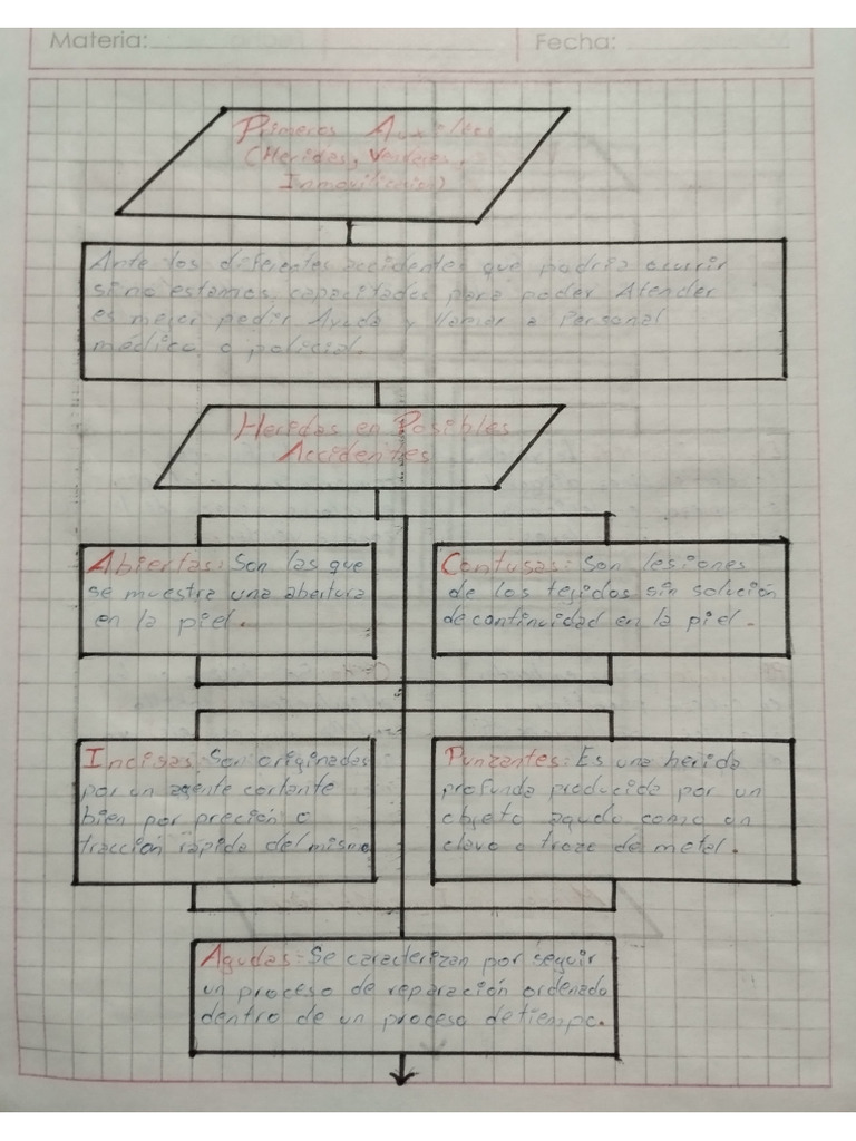 mapa de E.Fisica | PDF