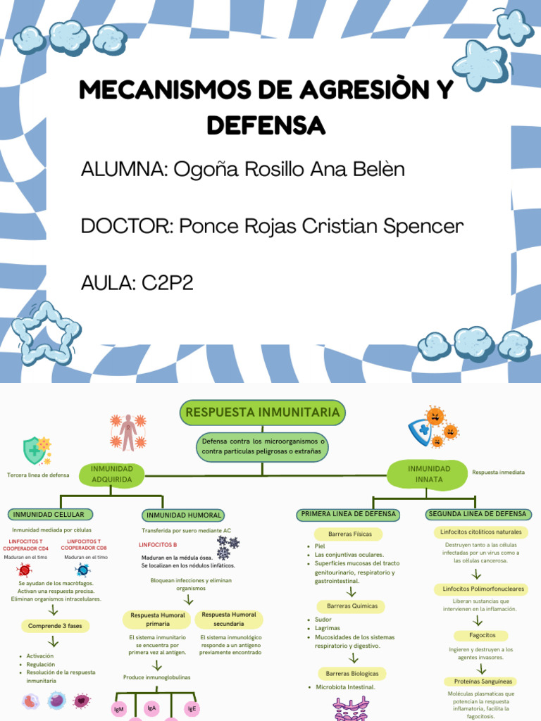 Organizadores meca 1 | PDF | Sistema inmune | Linfocitos
