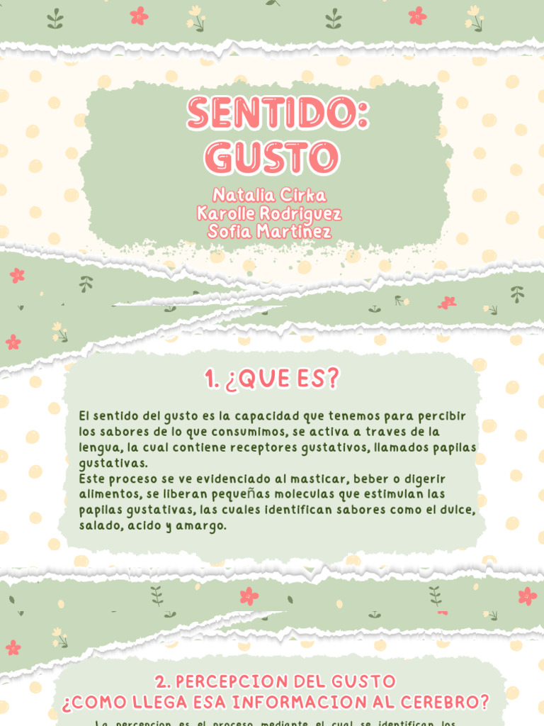 El Sentido del Gusto: Funciones y Enfermedades | PDF | Gusto | Sistema ...