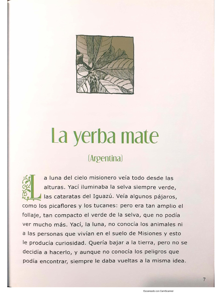 Leyenda de La Yerba Mate | PDF