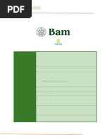 CCB and VCS Project Description Template CCB v3.0 VCS v4.4 | PDF | Natural Environment