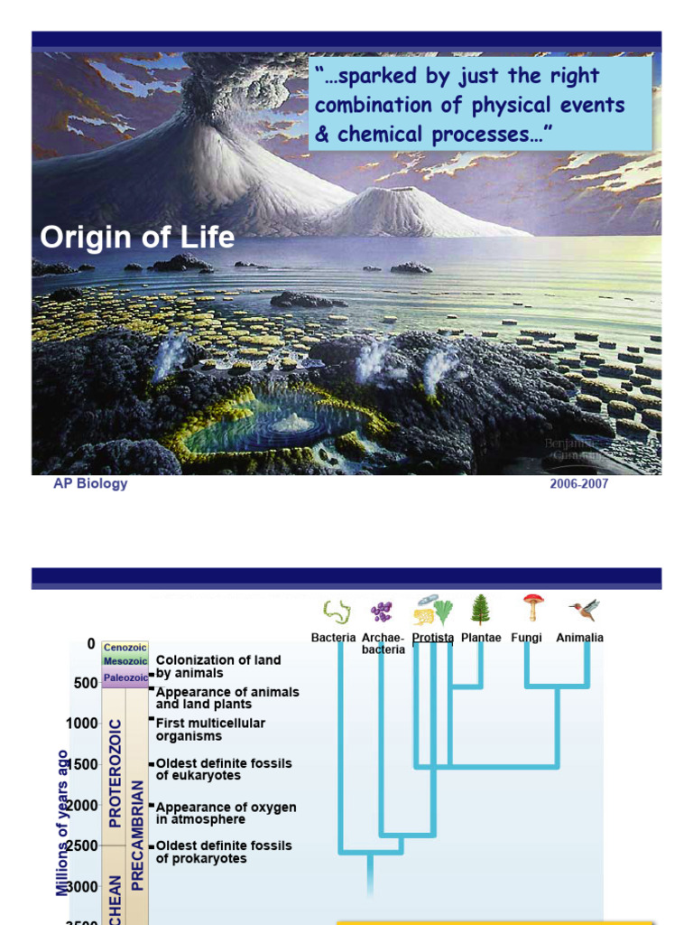 AP Biology: Origin of Life Overview | PDF | Rna | Eukaryotes