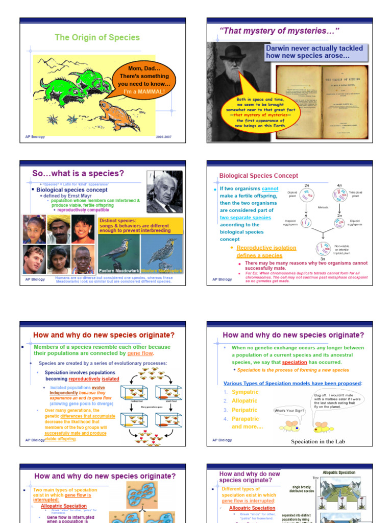 APB Ch.24.Slides - Thespeciationprocess 2 | PDF | Ploidy | Hybrid (Biology)