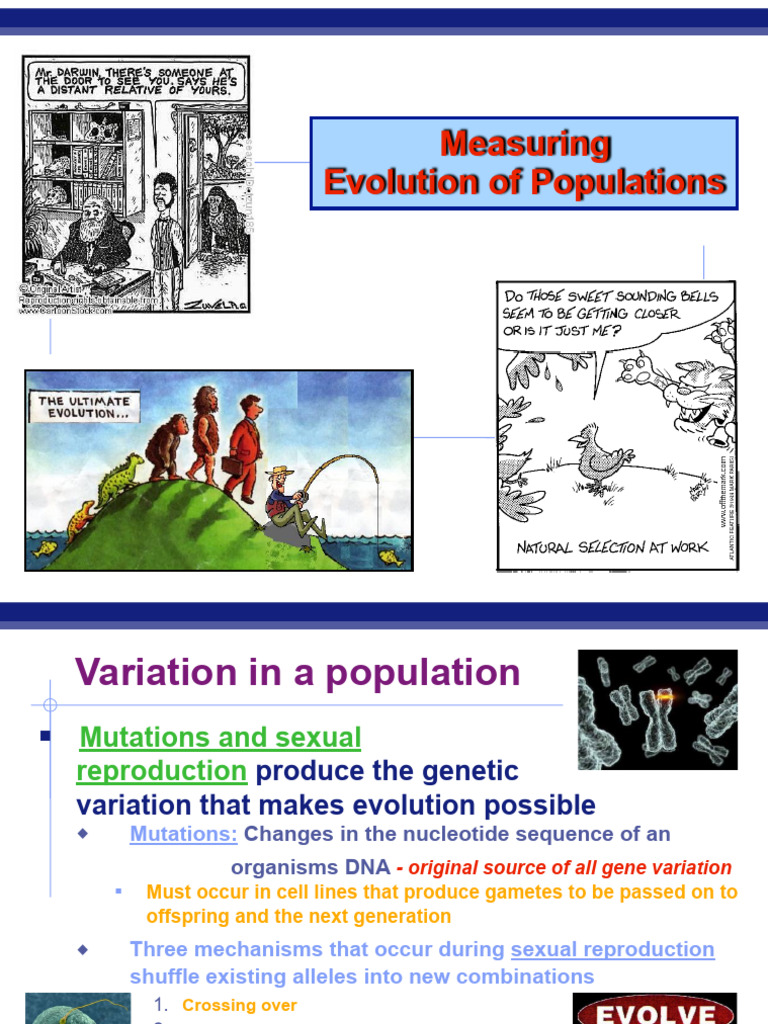 APB Ch.23.Slides - mechanismsOfEvolution 3 | PDF | Zygosity | Evolution