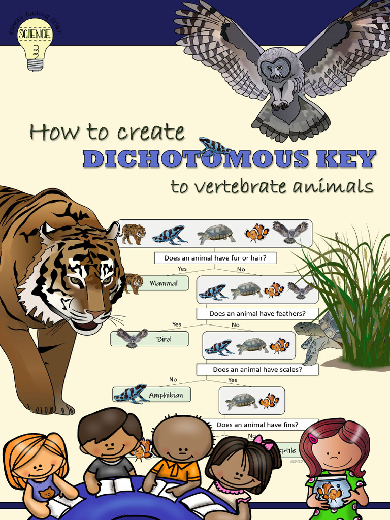 Create a Dichotomous Key for Vertebrates | PDF | Zoology