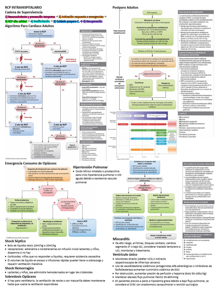 RCP Intrahospitalaria: Protocolo y Manejo | PDF | Reanimación ...