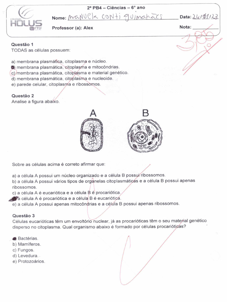 Manuela Conti Guimarães 2 PB4 Ciências | PDF
