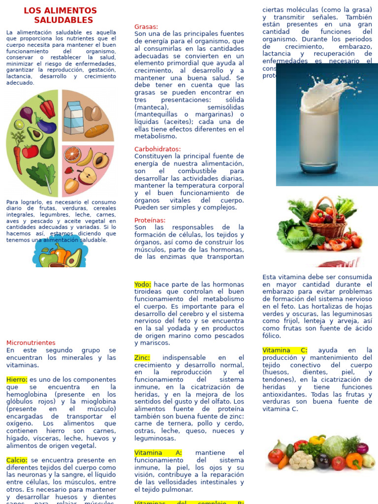 Triptico Alimentos Saludables | PDF | gordo | Alimentos