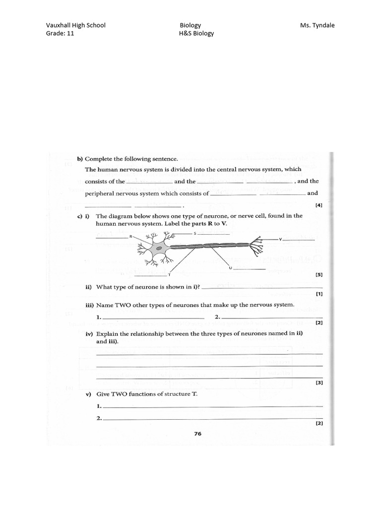Irritability in Biology Worksheet | PDF