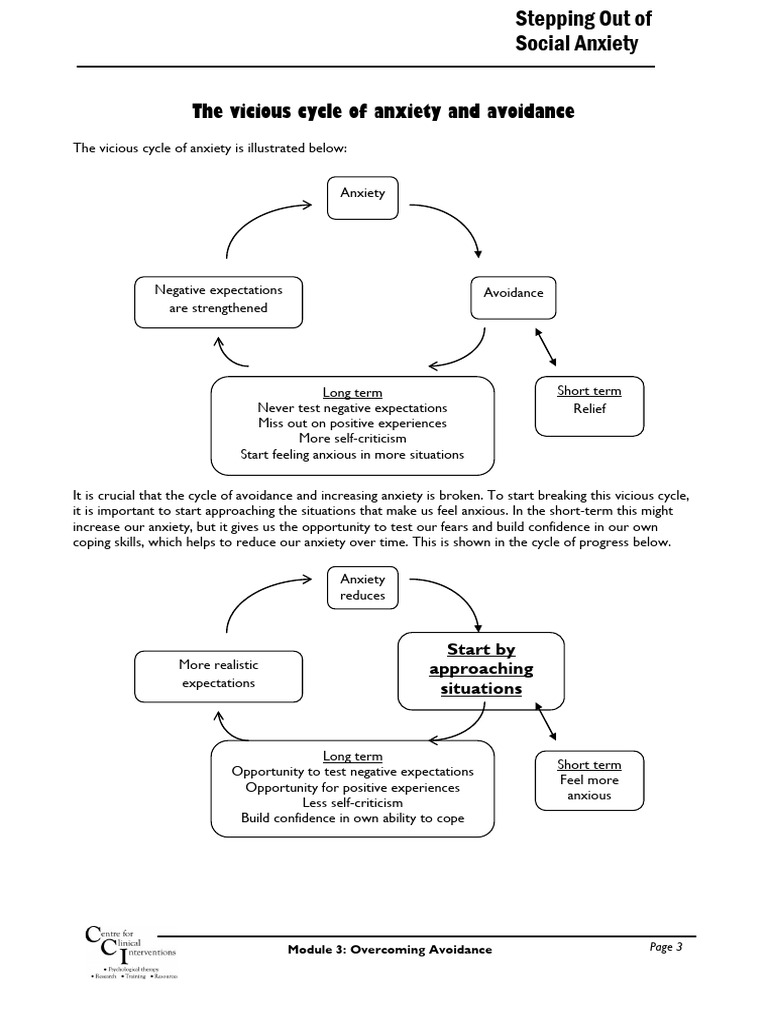 Social Anxiety Avoidance Explainer | PDF
