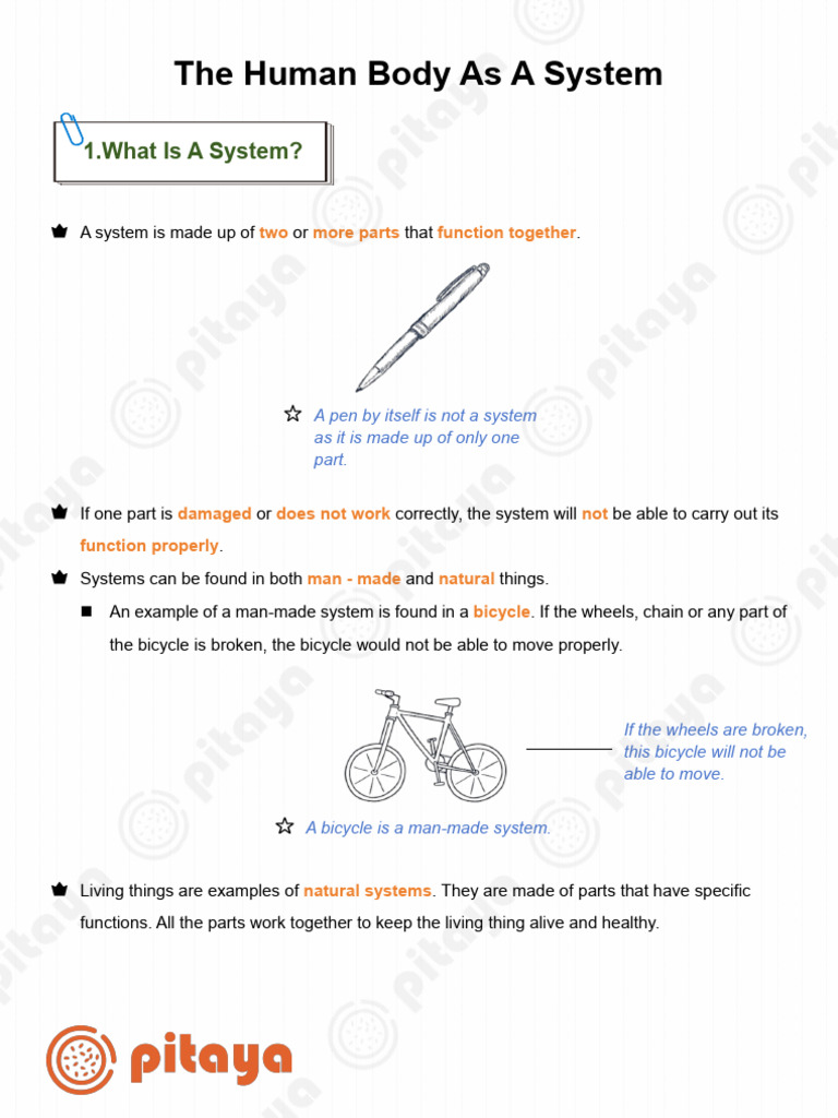 Understanding Human Body Systems | PDF | Human Body | Blood