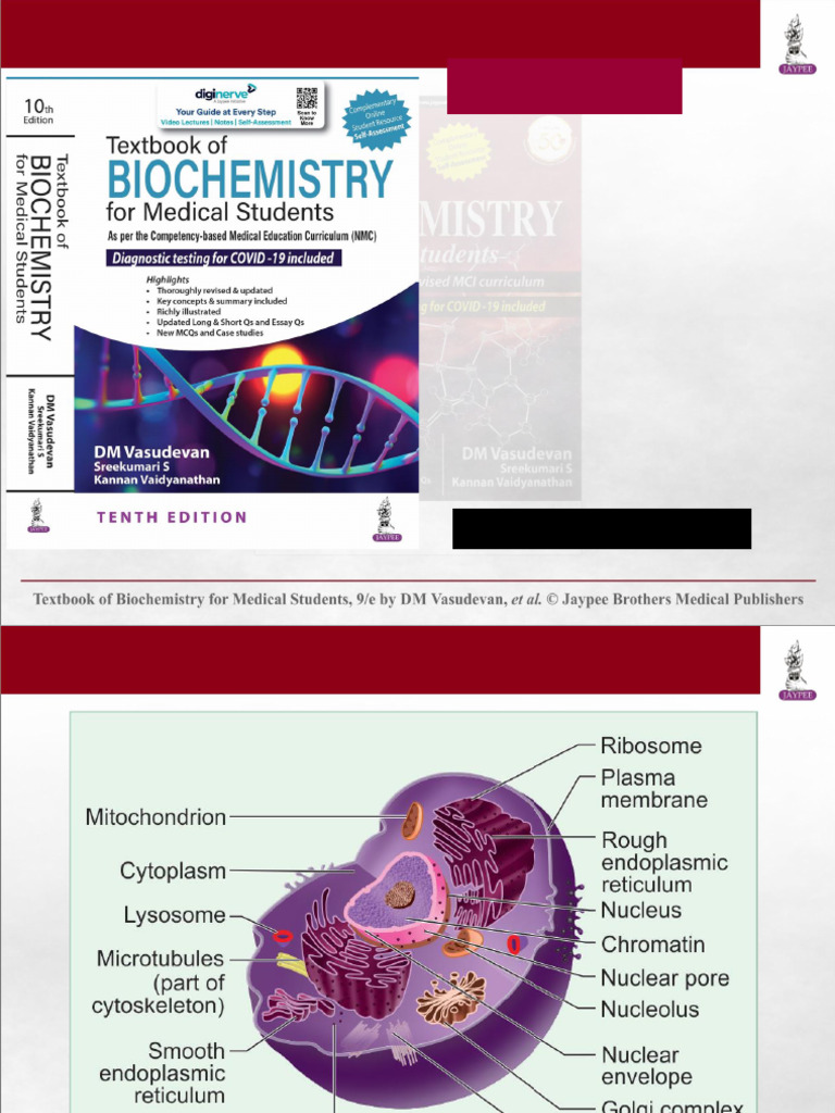 CH 02A Subcellular Organelles | PDF | Cell Membrane | Endoplasmic Reticulum
