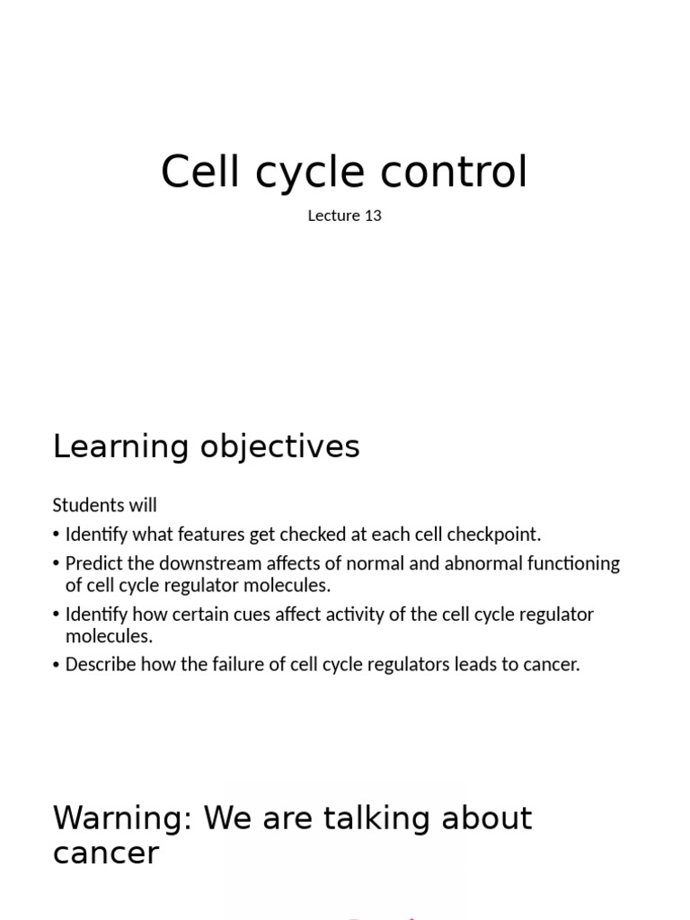 Biol113 Lec 13 Cell Cycle Control S | PDF | Cell Cycle | P53