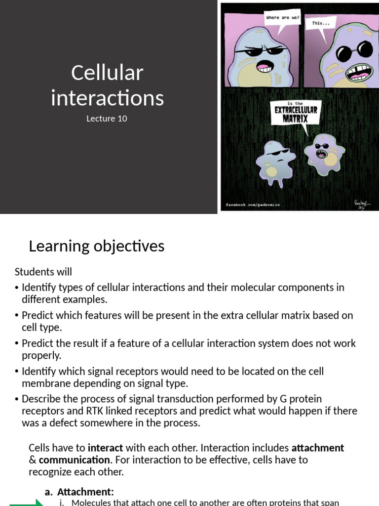 Biol113 Lec 10 Cellular Interactions S | PDF | Cell Signaling | Signal ...