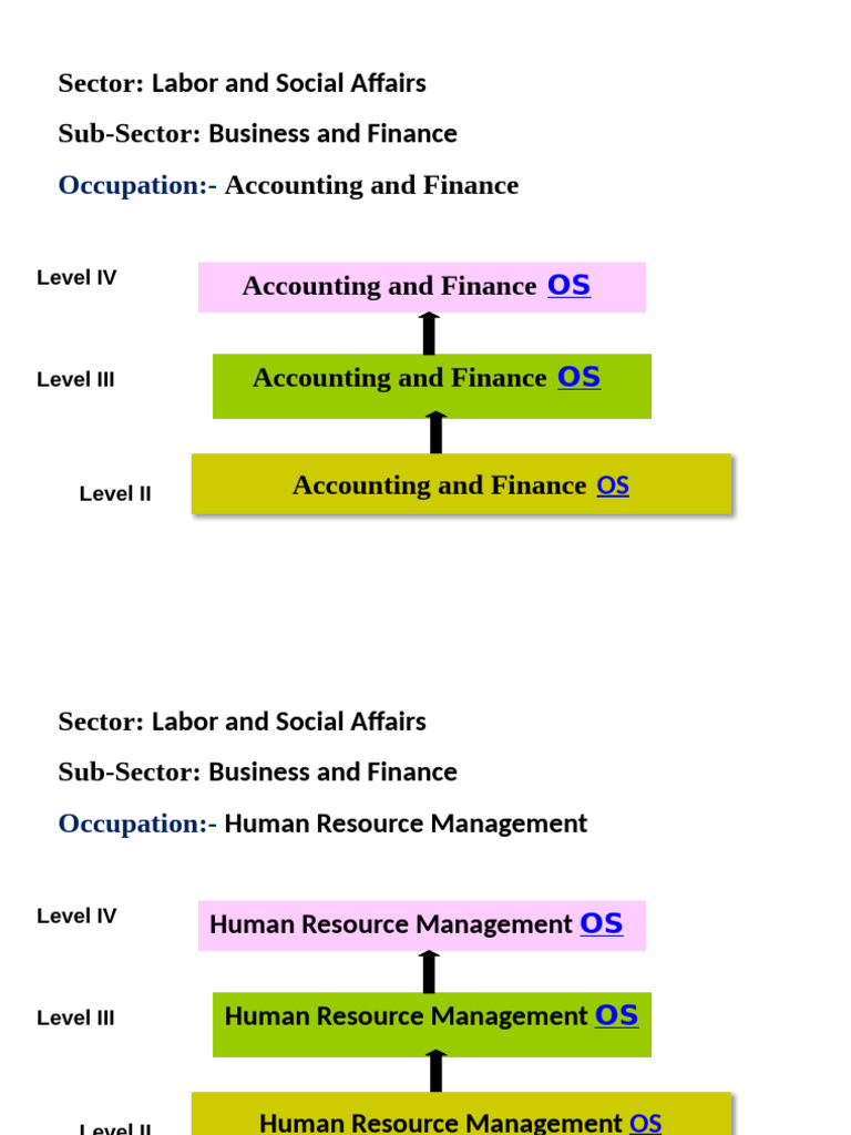 7-OM Maps For Busines | PDF