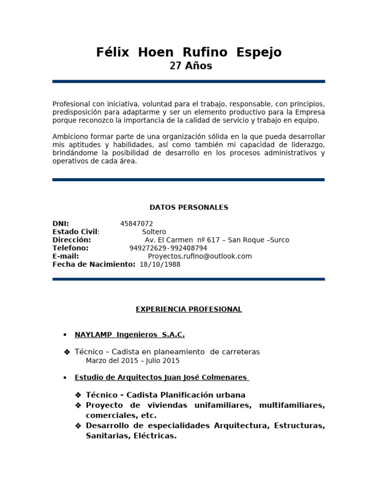 Perfil Profesional de Félix Hoen Espejo | PDF