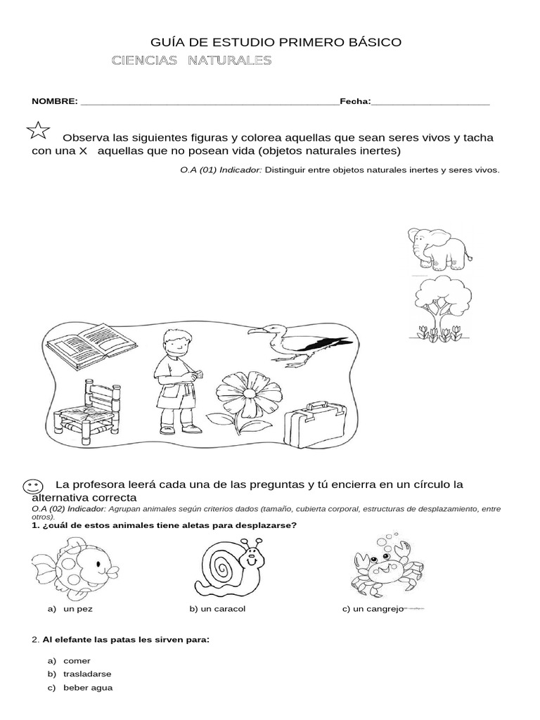 Ciencias Seres Vivos - Guía de Estudio | PDF | Zoología