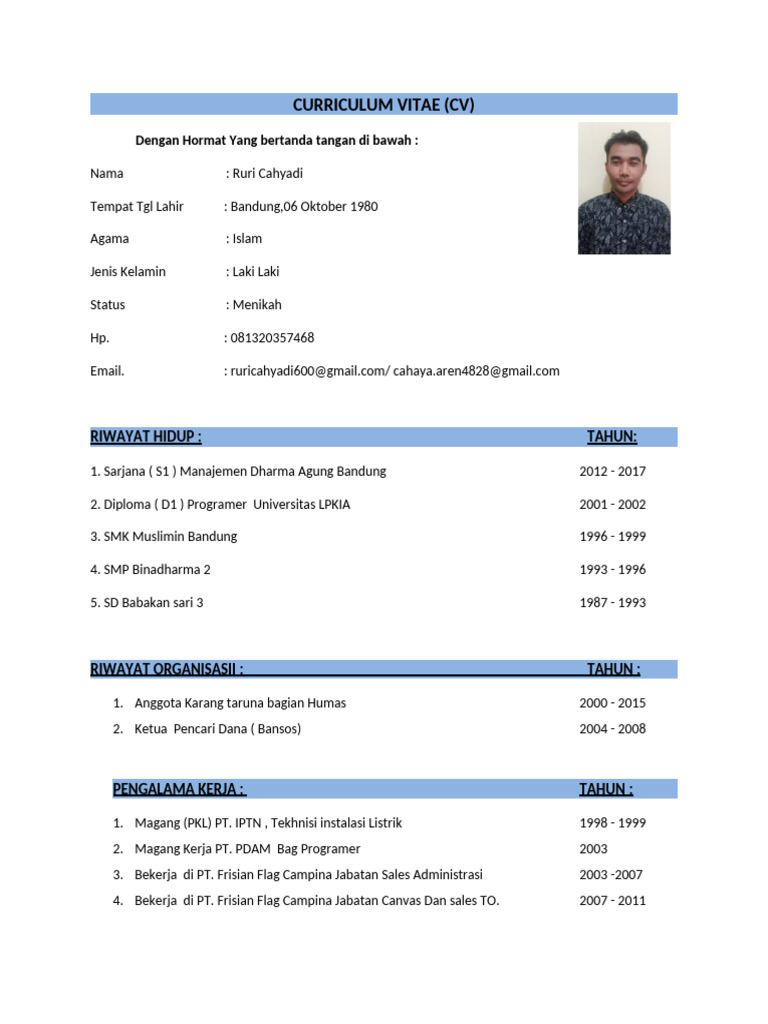 Curriculum vitae (1) | PDF