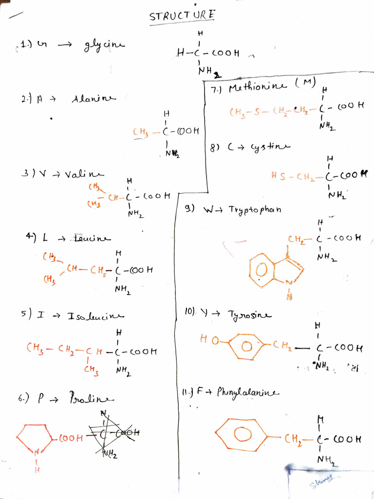 Amino Acids Hand Written Note | PDF