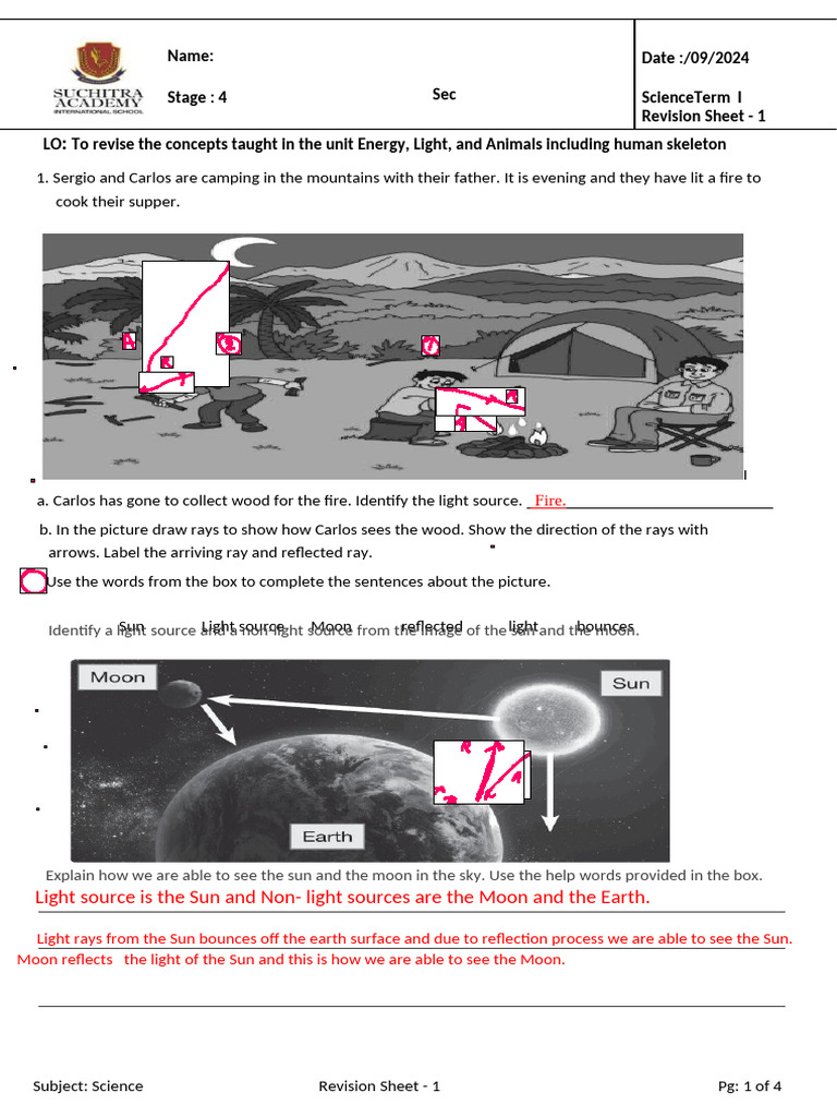 Revision Sheet - 1 2024-25 - Term I - Stage 4 - Science | PDF | Muscle ...