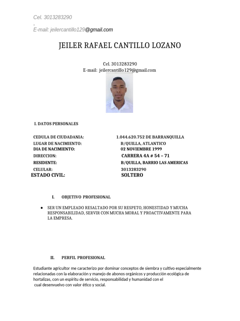 Hoja de Vida Jeiler | PDF