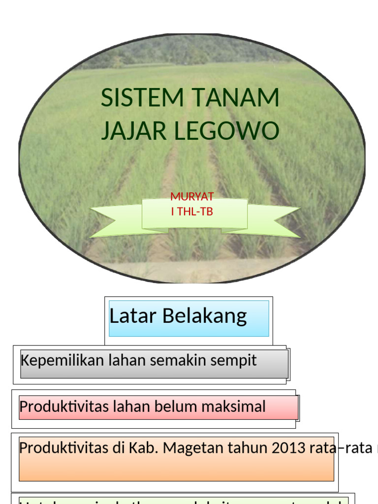 Sistem Tanam Jajar Legowo Padi | PDF