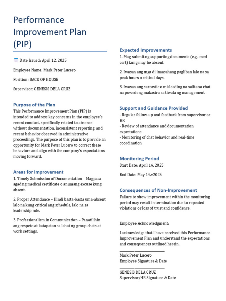 Performance Improvement Plan for Mark Lucero | PDF | Business | Social ...