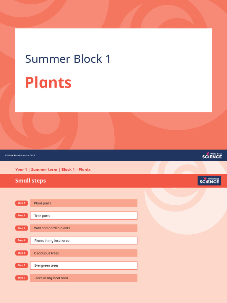 Year 1 Summer Block 1 SOL | PDF | Trees | Leaf