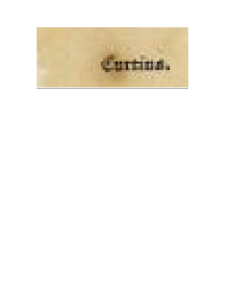 Cutina 3 | PDF