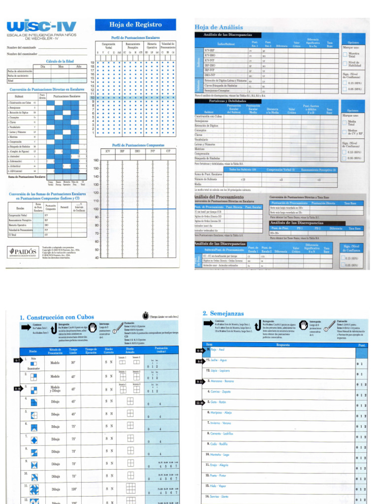 Protocolo Wisc IV (1) | PDF
