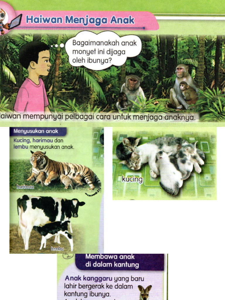 Haiwan Perlu Menjaga Anaknya Agar Dilindungi Daripada Musuh Dan Bahaya ...