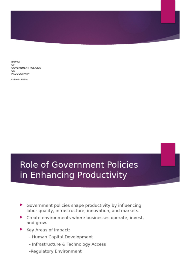Government Policies Productivity - Divyam Sharma | PDF