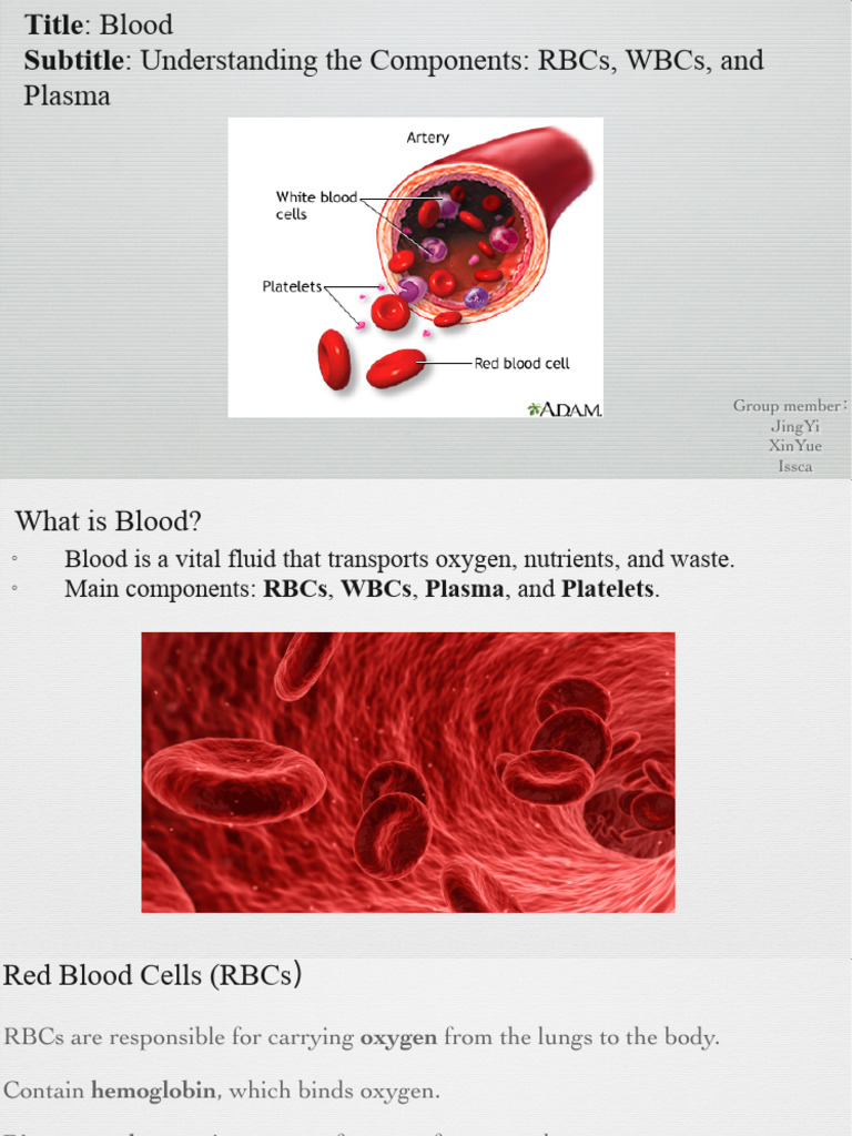 Blood Components and Their Functions | PDF